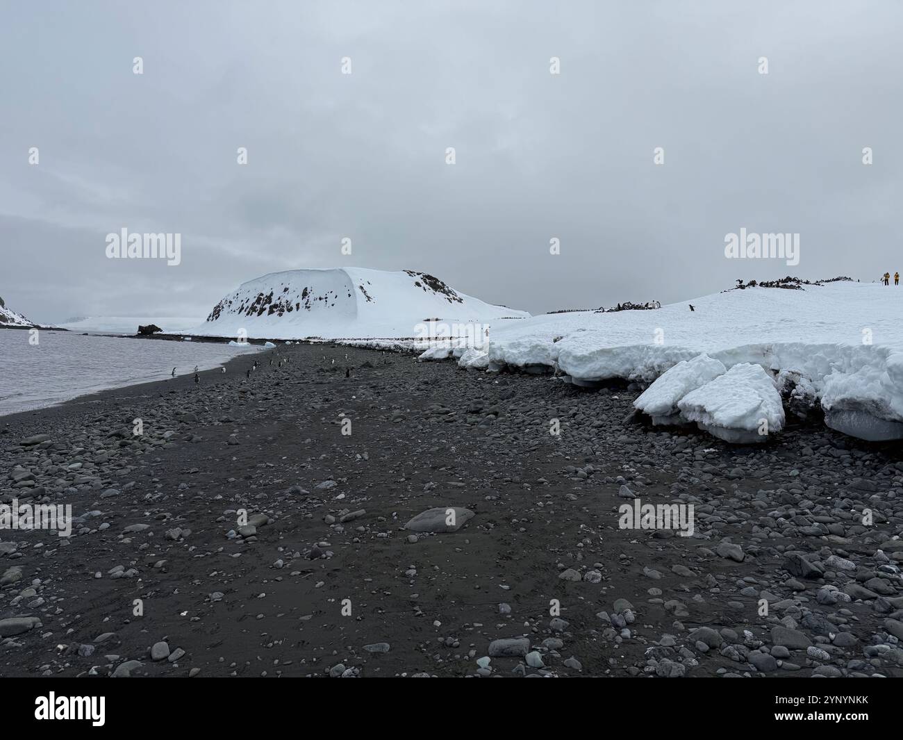 Explore Antarctica 2025. Antarctica mountains, sea and penguin in South ...