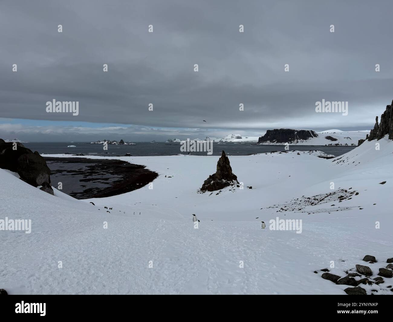 Explore Antarctica 2025. Antarctica mountains, sea and penguin in South ...
