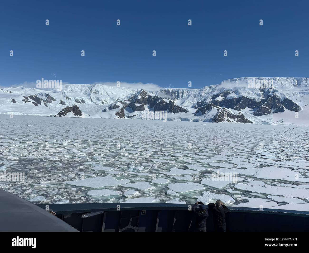 Explore Antarctica 2025. Antarctica mountains, sea and penguin in South ...