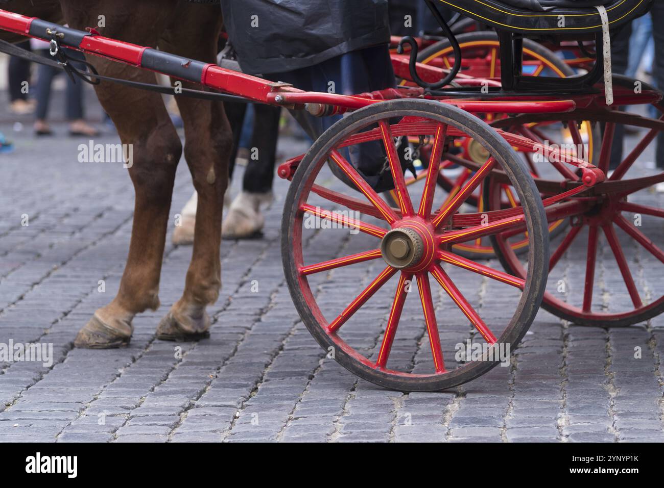 Traditional horse-drawn carriage in rome, italy Stock Photo - Alamy