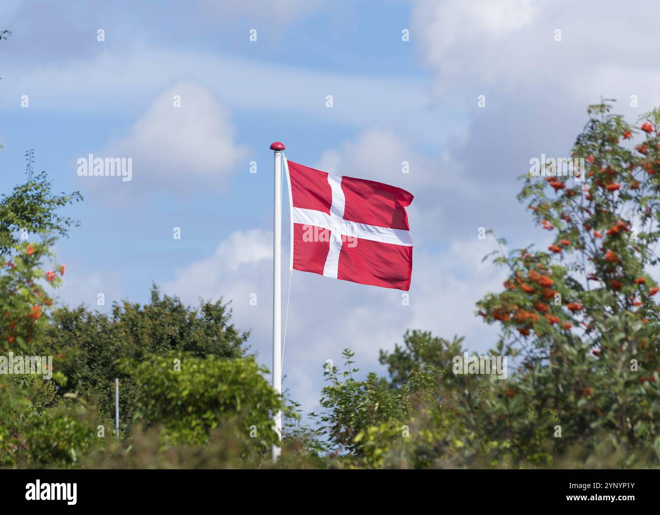 Waving flag denmark national state hi-res stock photography and images ...