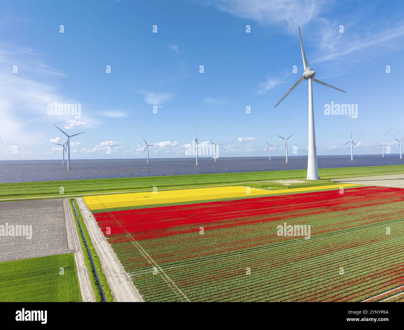 Aerial view of a beautiful landscape filled with colorful tulips and ...