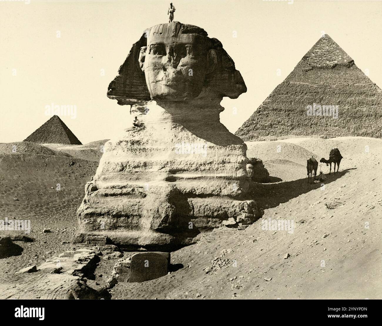 Egypt Giza The Sphinx with the Pyramids of Chephren and Mycerinus ...