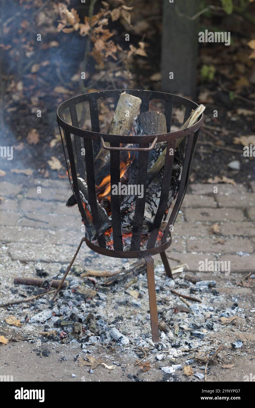 Outdoor fire pit with burning wood and ash on the ground Stock Photo ...