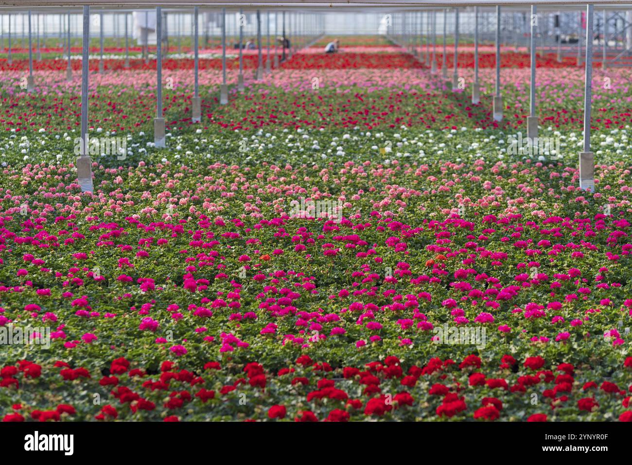 Commercial agriculture decor hi-res stock photography and images - Alamy