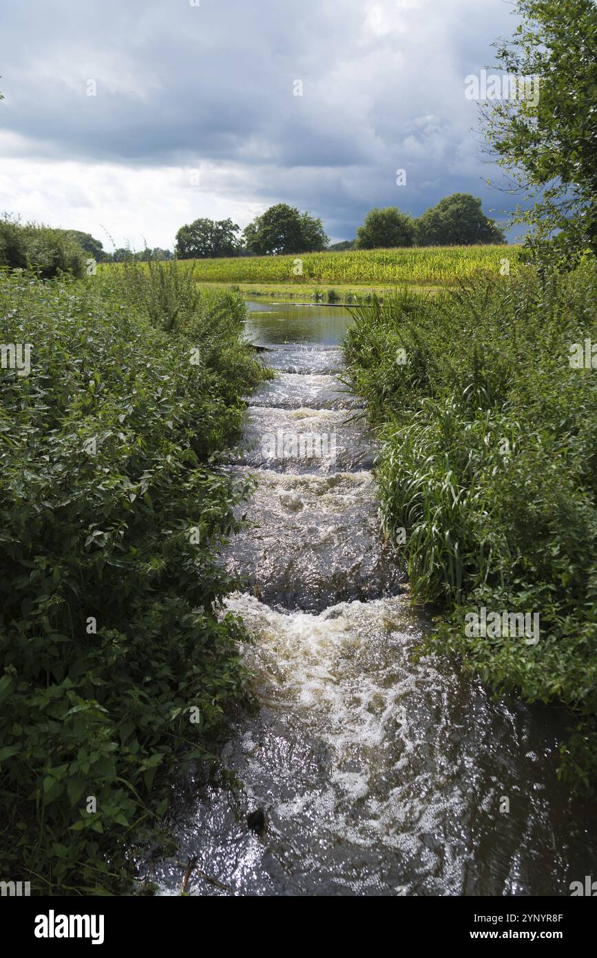 Small fish ladder in a dutch river Stock Photo - Alamy