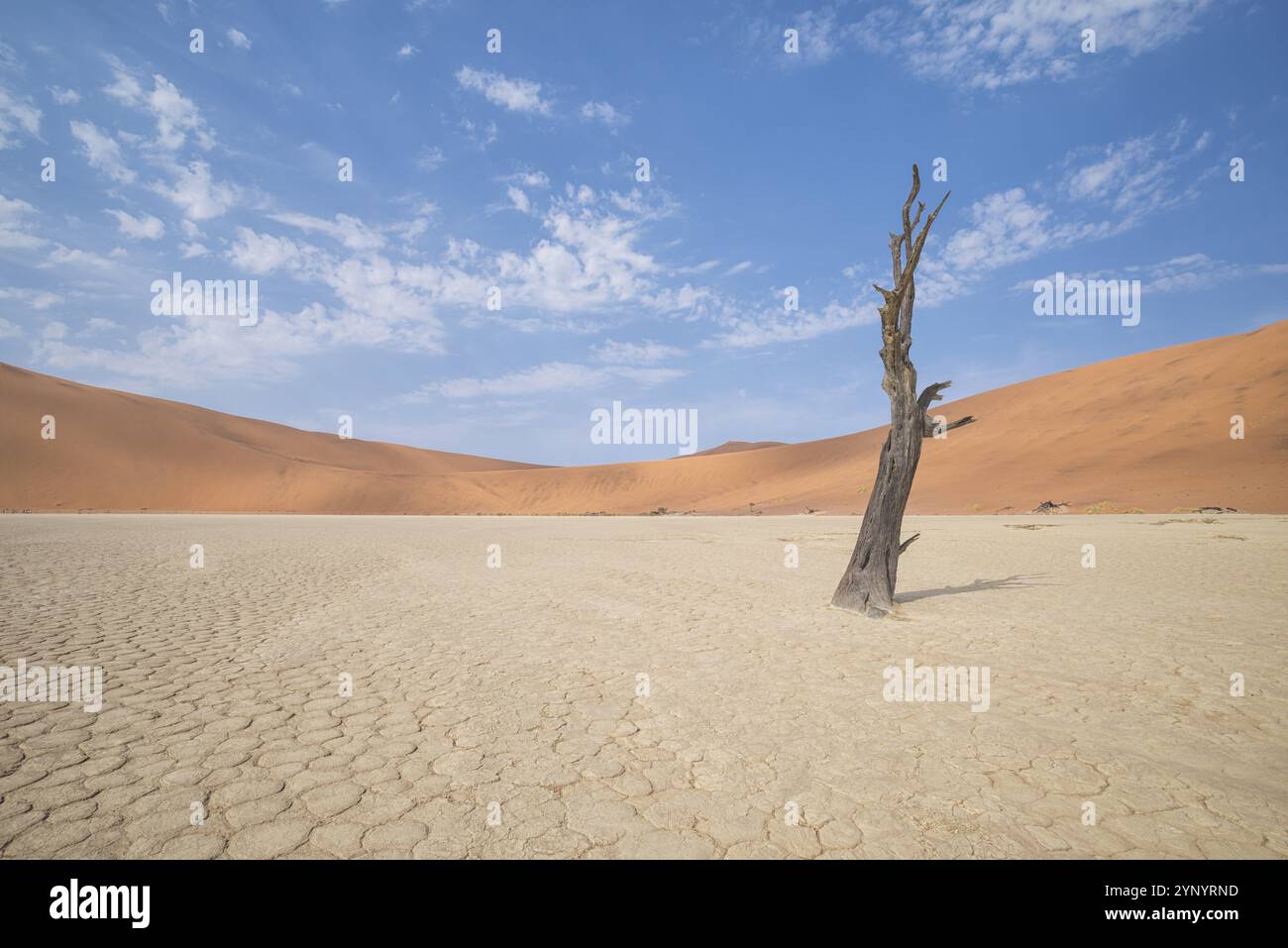 Desert climates hi-res stock photography and images - Alamy