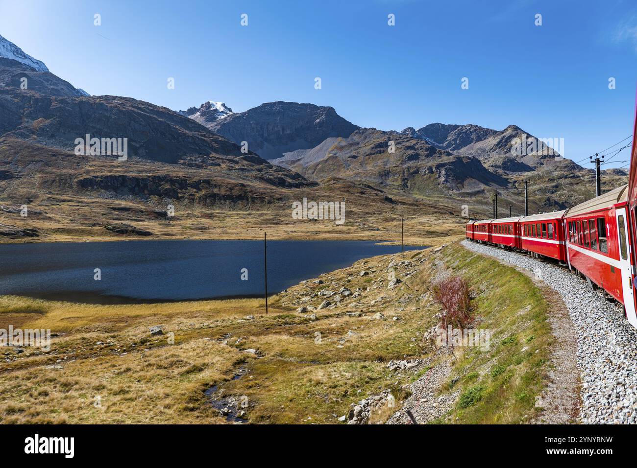 Red train of Bernina in the Swiss alps Stock Photo - Alamy