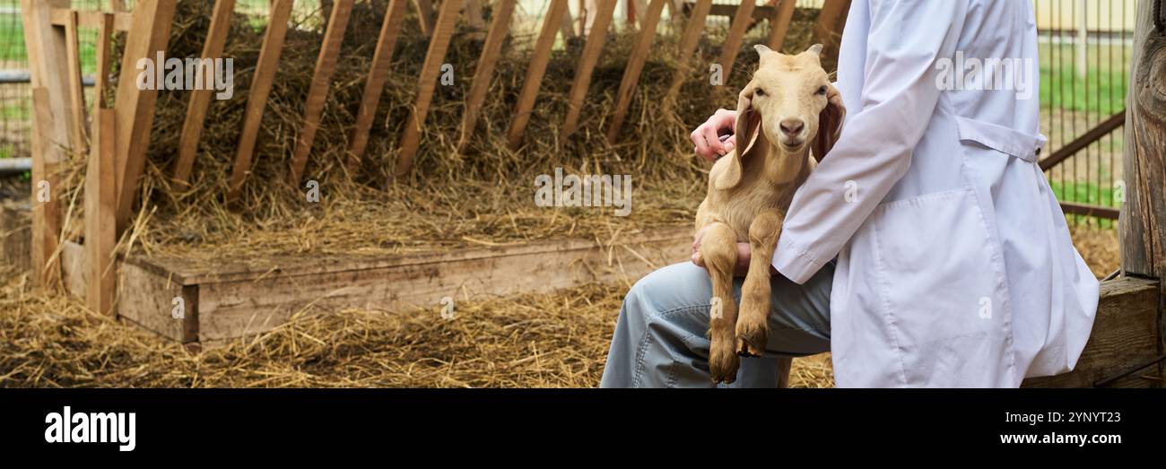 Goat header hi-res stock photography and images - Alamy