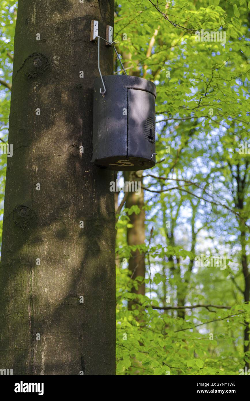 Bats nest hi-res stock photography and images - Alamy