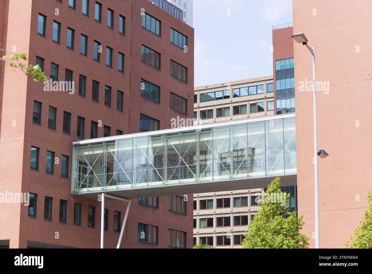 Glass gangway between two office buildings in rotterdam, netherlands ...