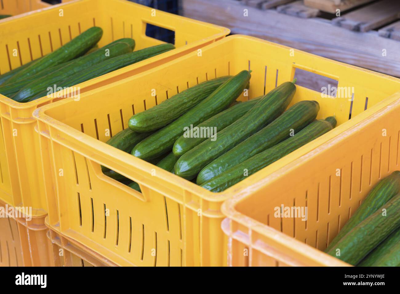 Orange crates hi-res stock photography and images - Alamy
