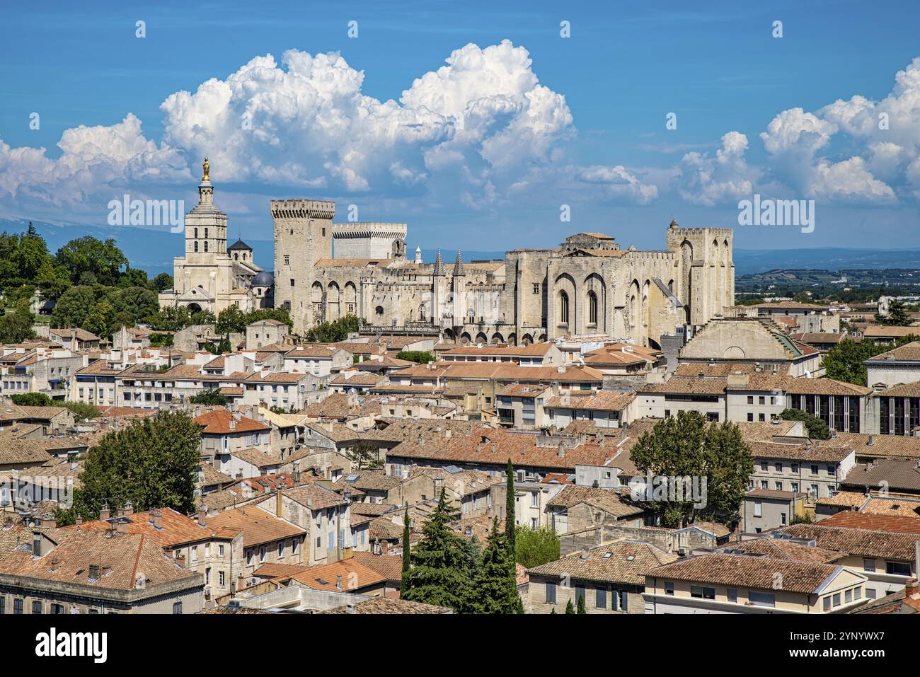Catedral avignon catedral hi-res stock photography and images - Alamy