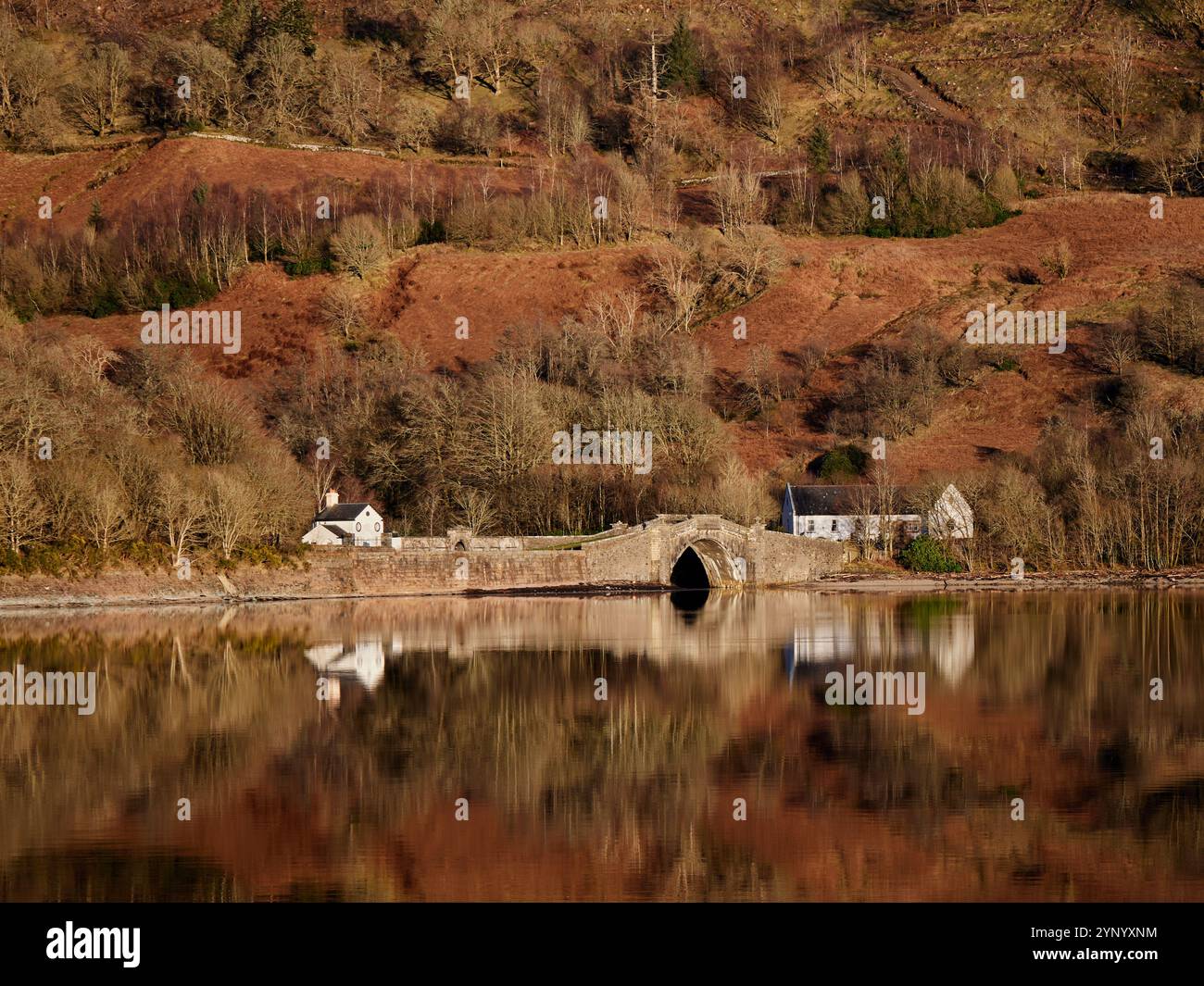 Golden autumn lakeside in Loch Fyne Scotland Stock Photo - Alamy