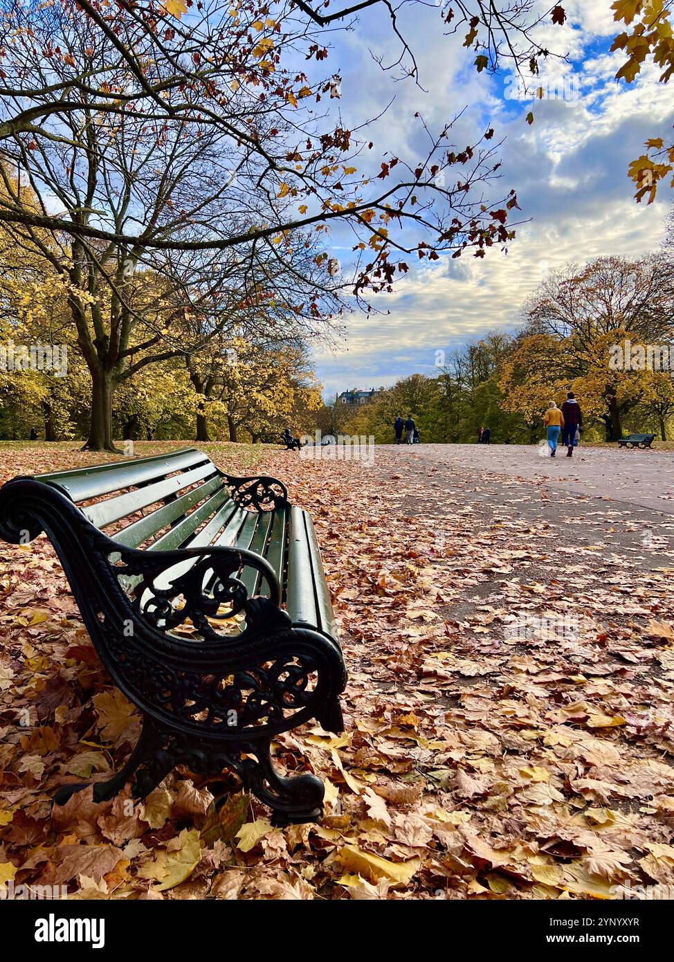 Public park during autumn with wide pathway, falling golden leaves and ...