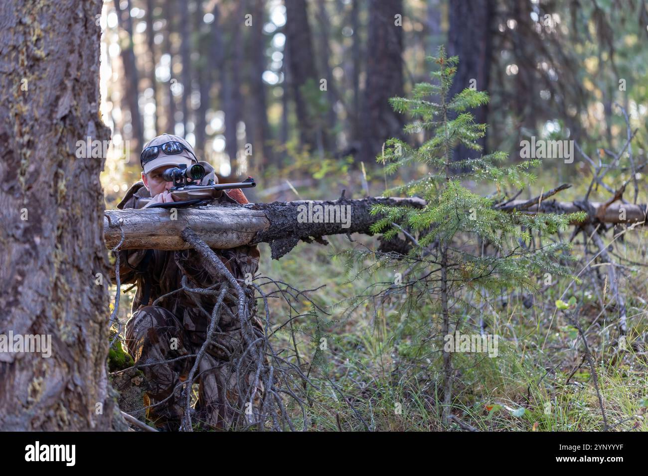 Hunter in camouflage clothing aiming a rifle, resting it on a fallen ...