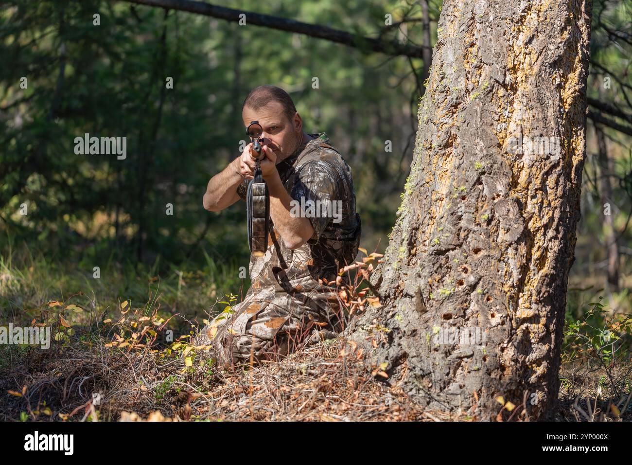 Hunter in camouflage clothing sitting behind tree aiming a rifle at game while looking through ...