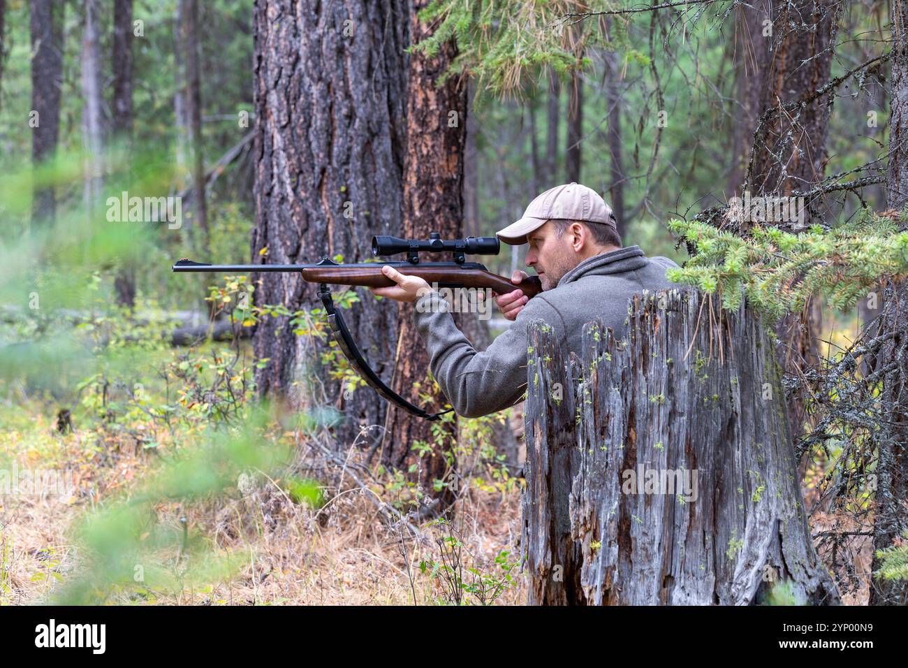 Hunting in the forest with a rifle. A hunter in a standing position ...