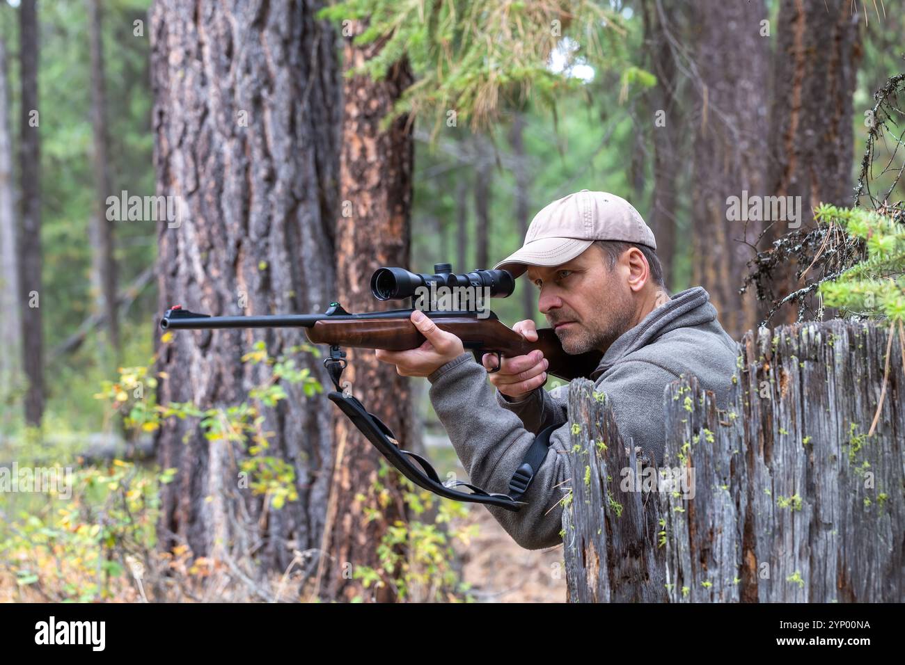 Hunting in the forest with a rifle. A hunter in a standing position ...