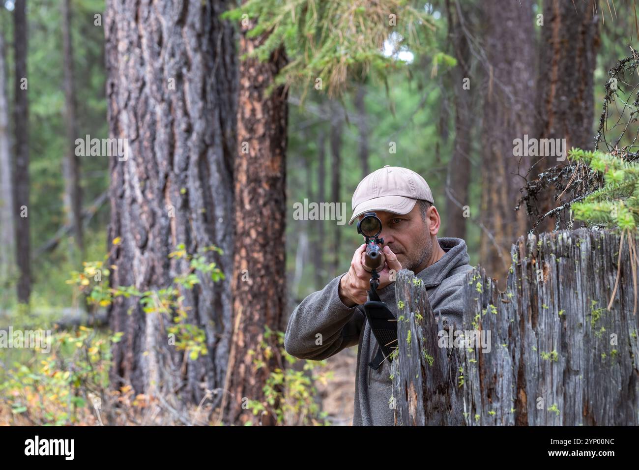 Hunting. A hunter in a standing position hides behind a tree stump ...