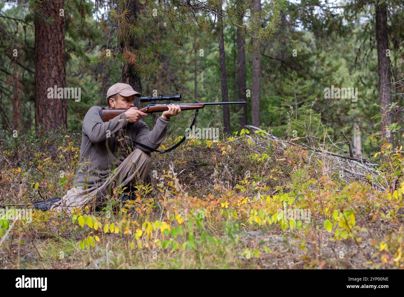 A hunter in a kneeling position aims his rifle at game, peering through ...