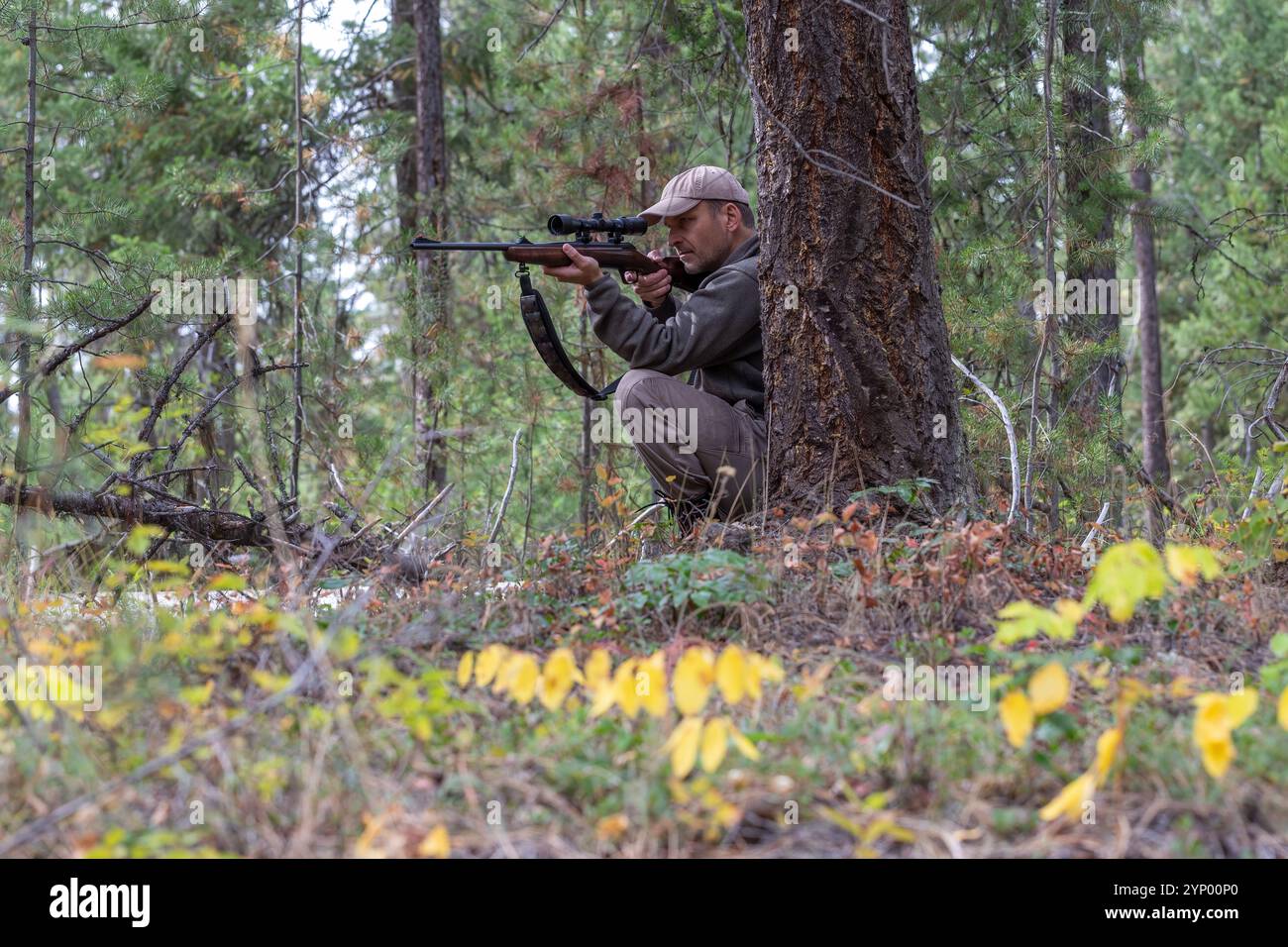 A hunter kneels behind a tree, aiming a rifle with a scope and ready to ...