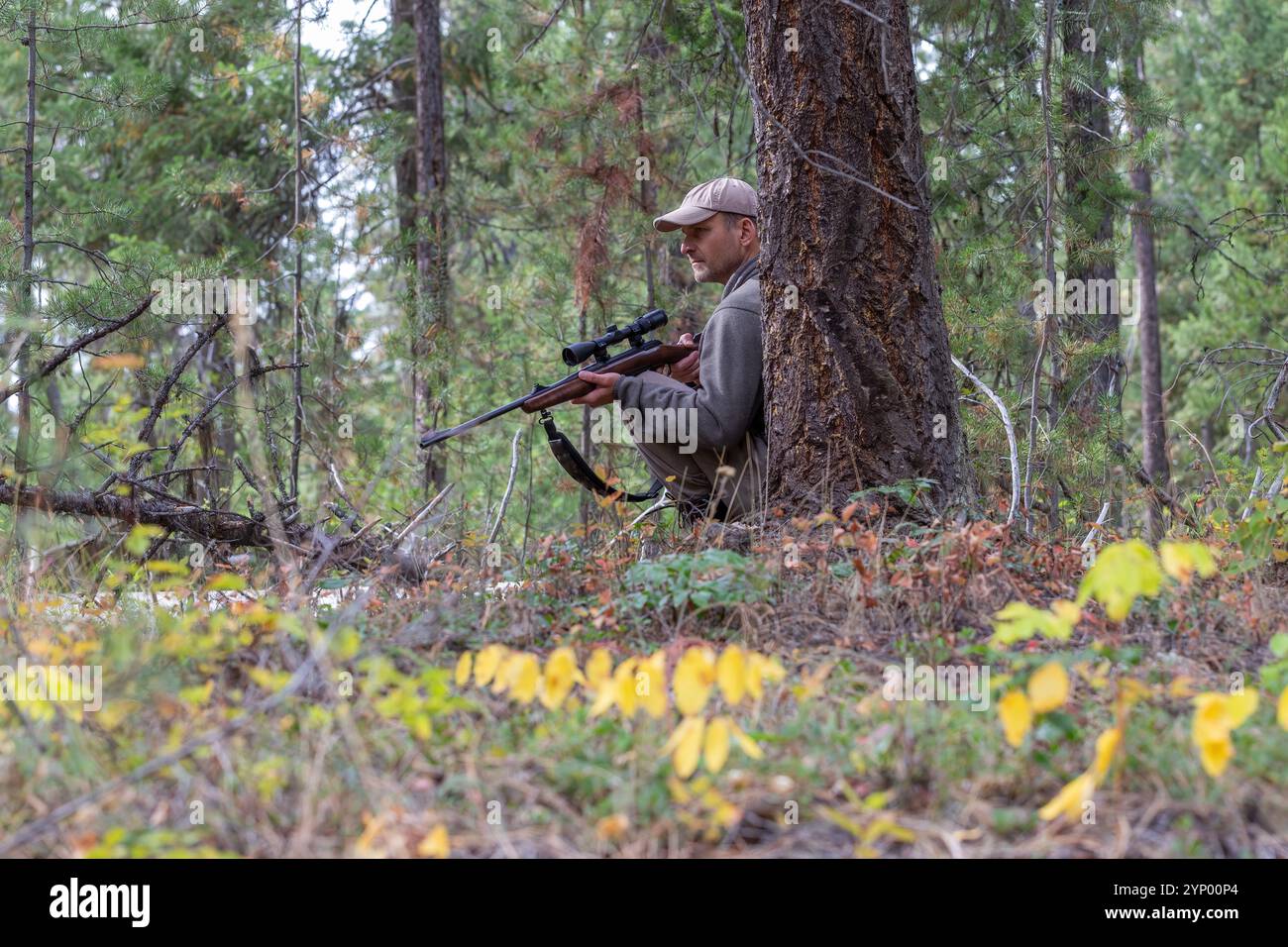 Hunter with the rifle in his hands hiding behind a tree in a kneeling ...