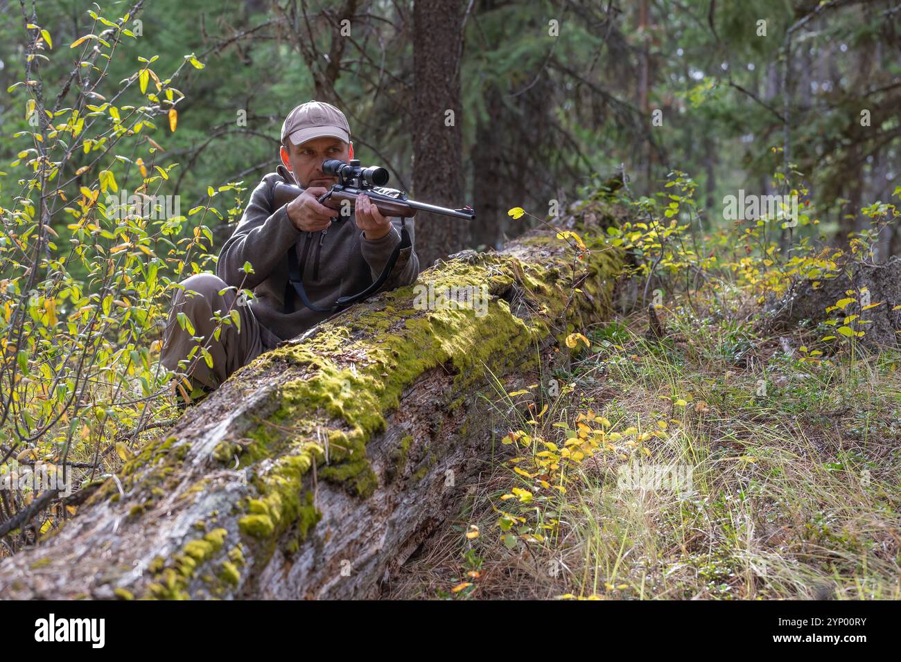 A hunter takes aim from behind a fallen, moss-covered tree trunk, rifle ...