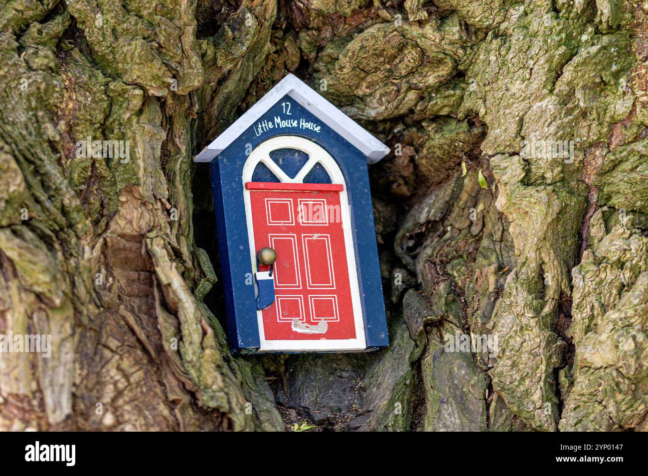 The Little Mouse House on the tree Stock Photo - Alamy