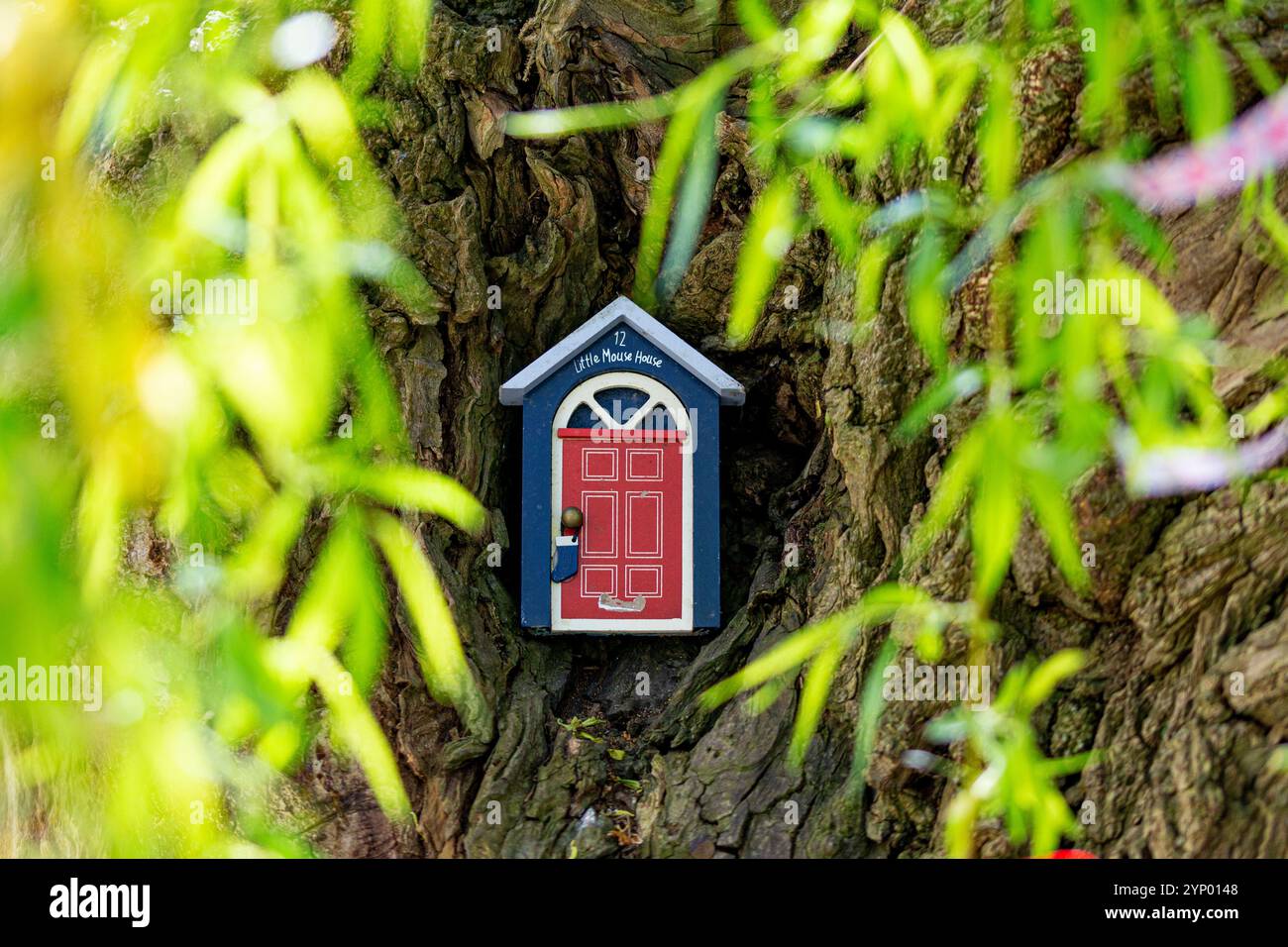 The Little Mouse House on the tree Stock Photo - Alamy
