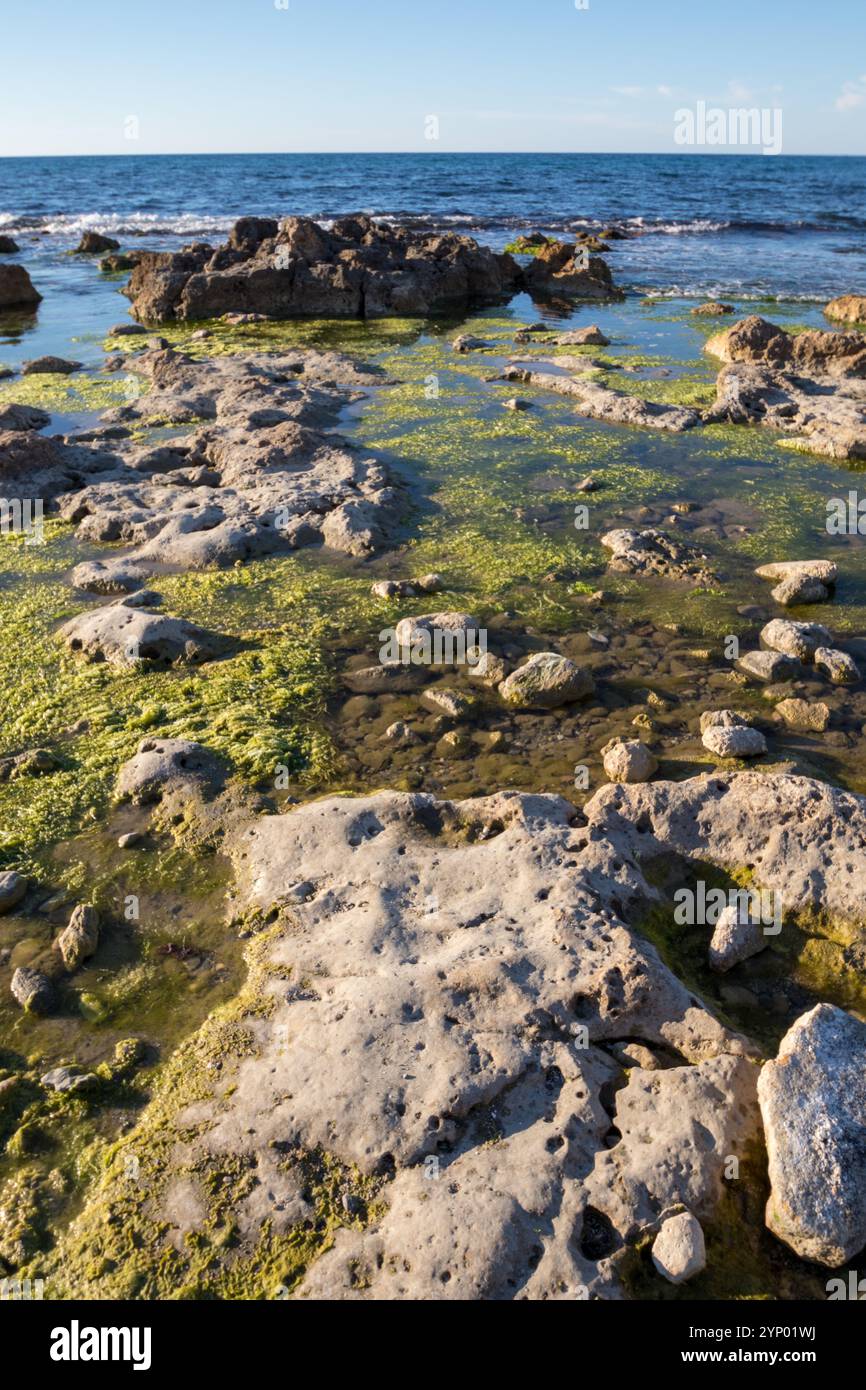 Algae moss covered stones hi-res stock photography and images - Alamy