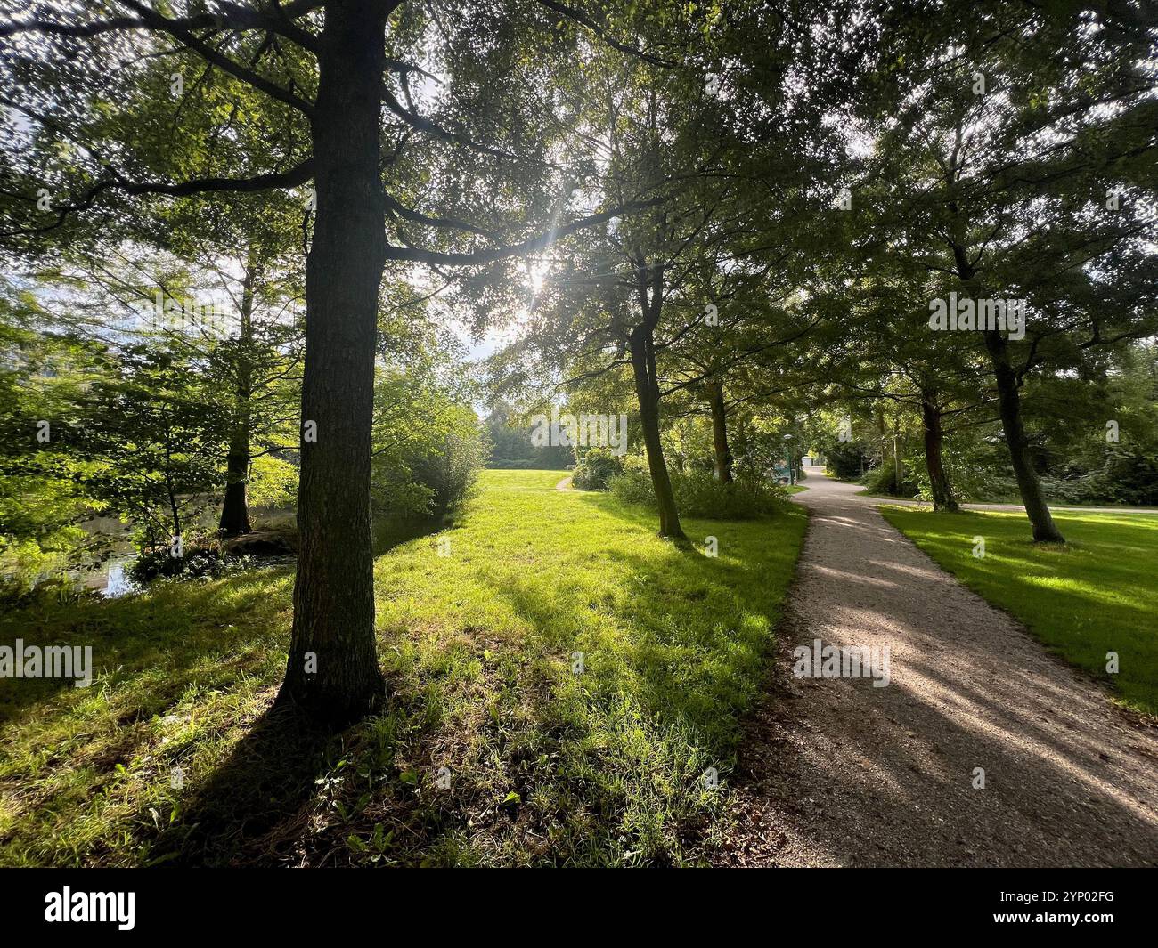 View of pathway through park with green trees alongside Stock Photo - Alamy