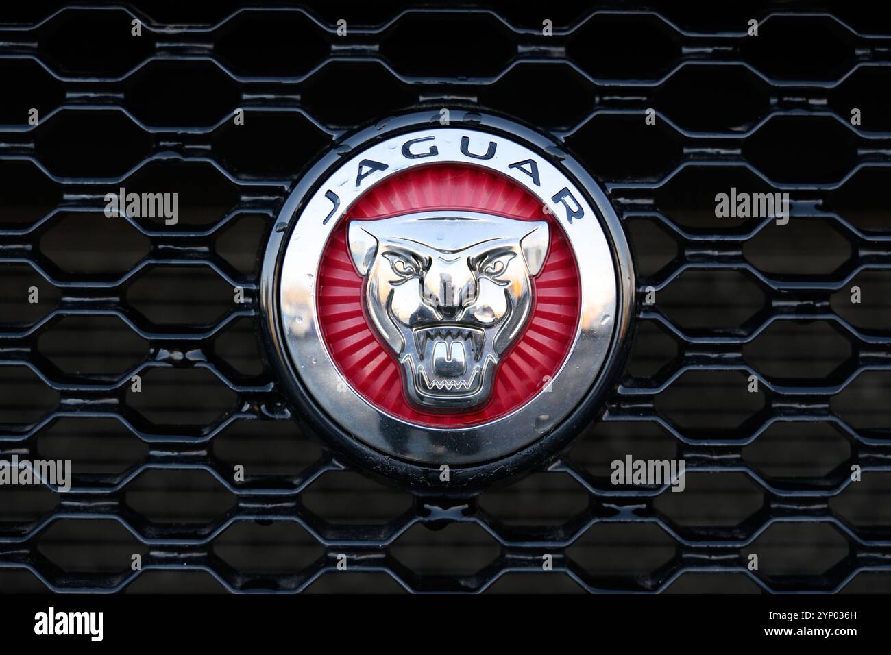 Derby, UK - 22 Nov 2024: Close-Up of the Iconic Jaguar Car Logo Stock ...