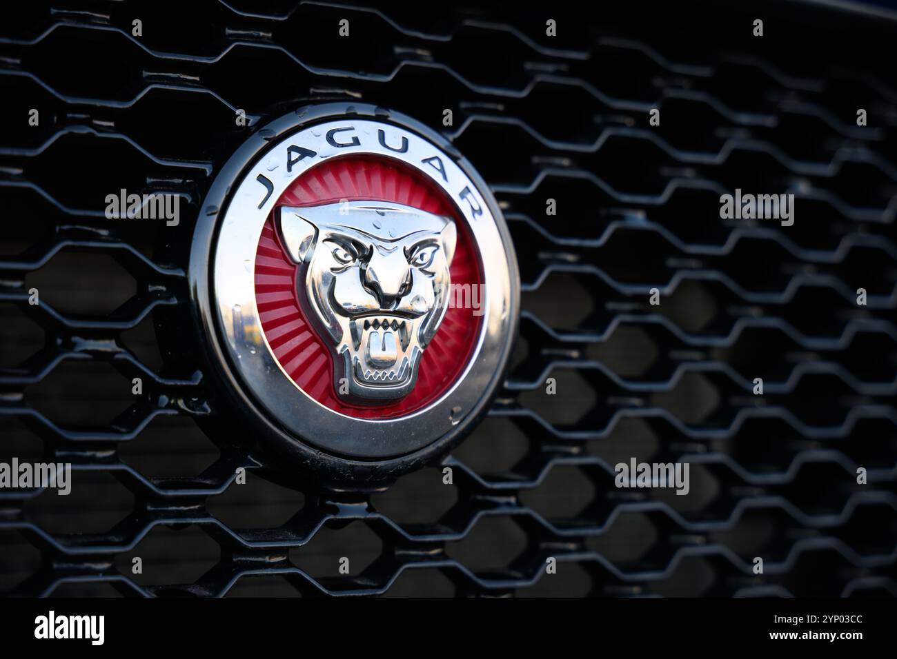 Derby, UK - 22 Nov 2024: Jaguar Emblem Detail on a Luxury Vehicle Stock ...