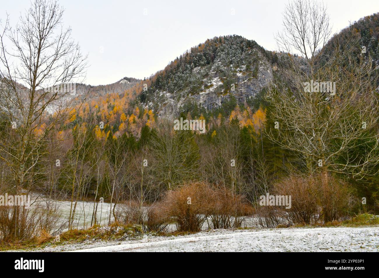 Mountain above Ravenska Kočna at Zgornje Jezersko with autumn golden ...