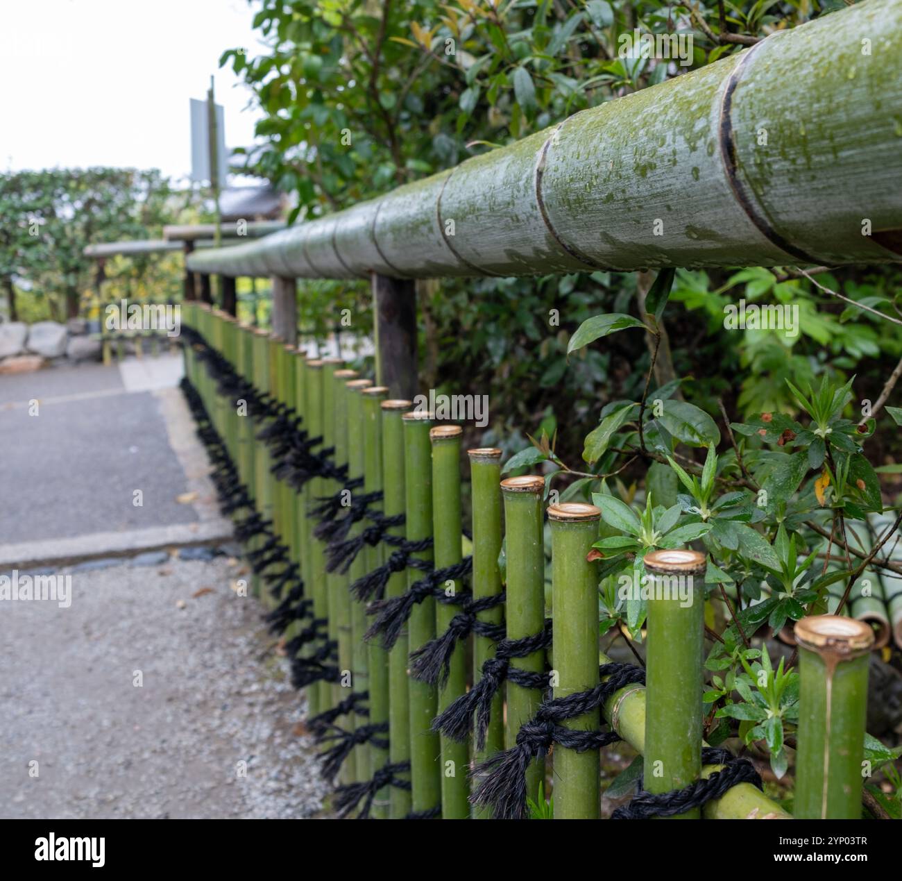 Bamboo railing tied with rope hi-res stock photography and images - Alamy