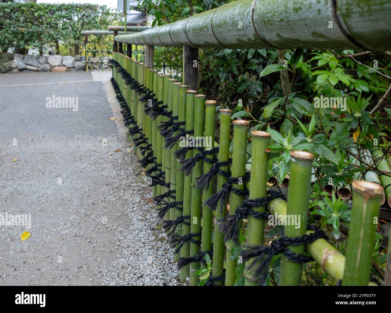 Bamboo railing tied with rope hi-res stock photography and images - Alamy