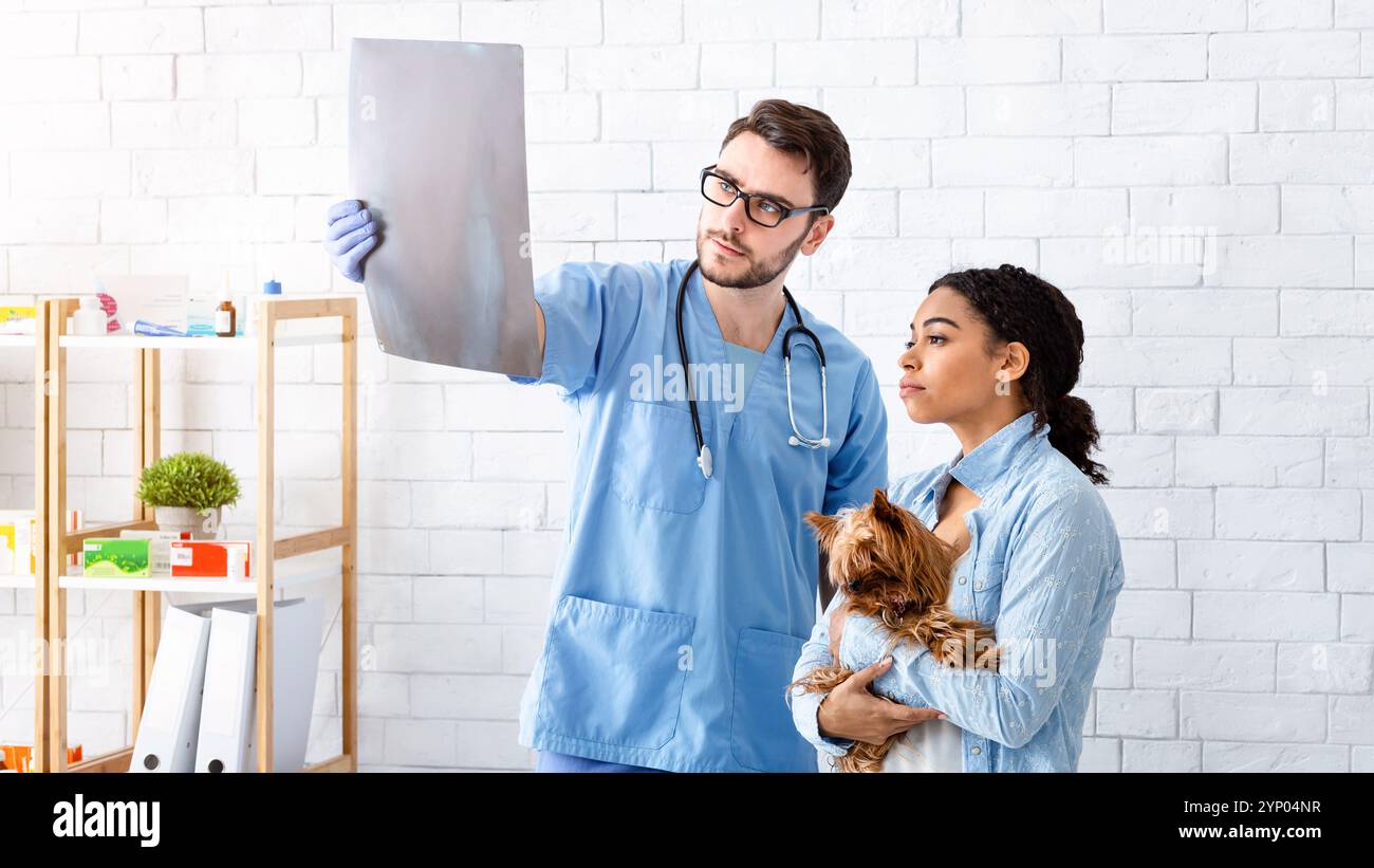 Veterinary surgery and radiology. Animal doctor and client examining ...