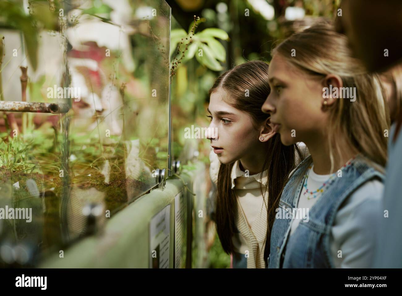 Teenagers nature class hi-res stock photography and images - Alamy