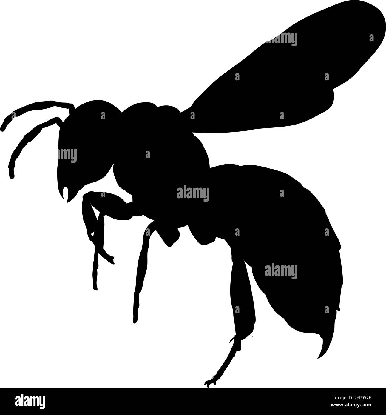 silhouette of flying wasp vector illustration Stock Vector Image & Art ...