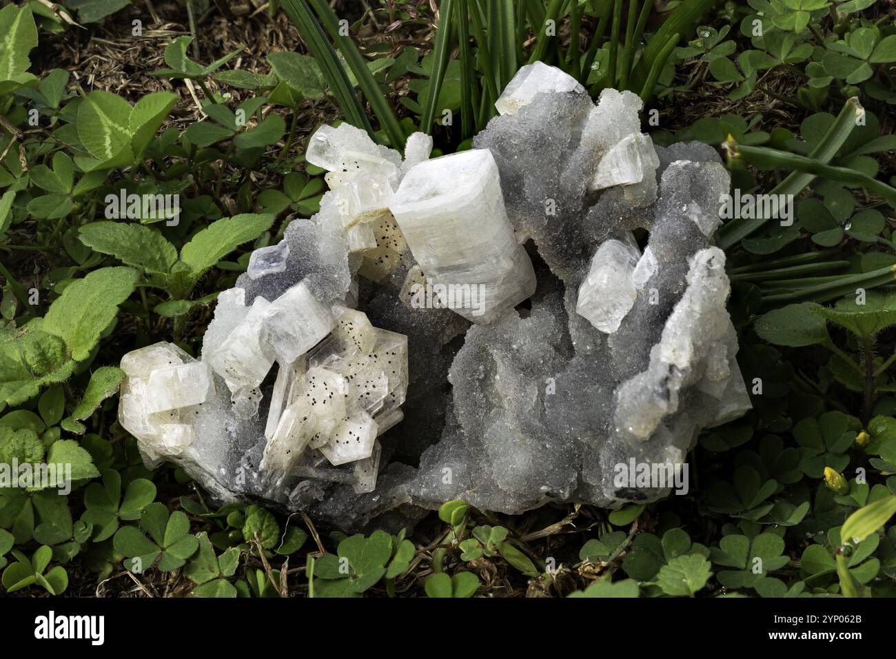 Silicate family hi-res stock photography and images - Alamy