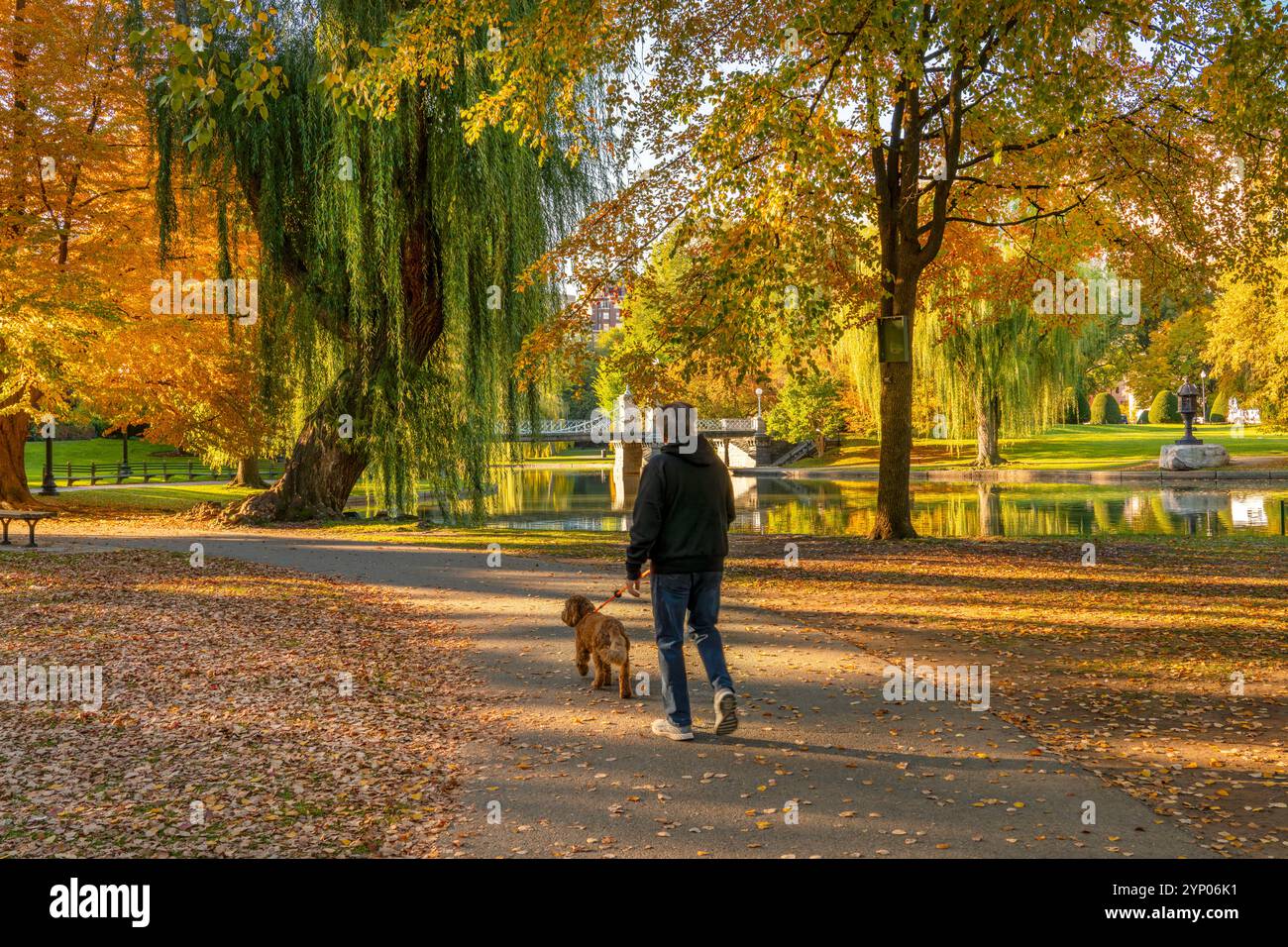 Boston Common and Public Garden Boston, Massachusetts, USA Stock Photo ...