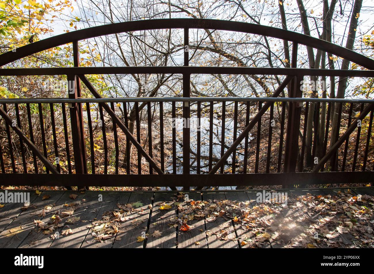 Jack darling park hi-res stock photography and images - Alamy