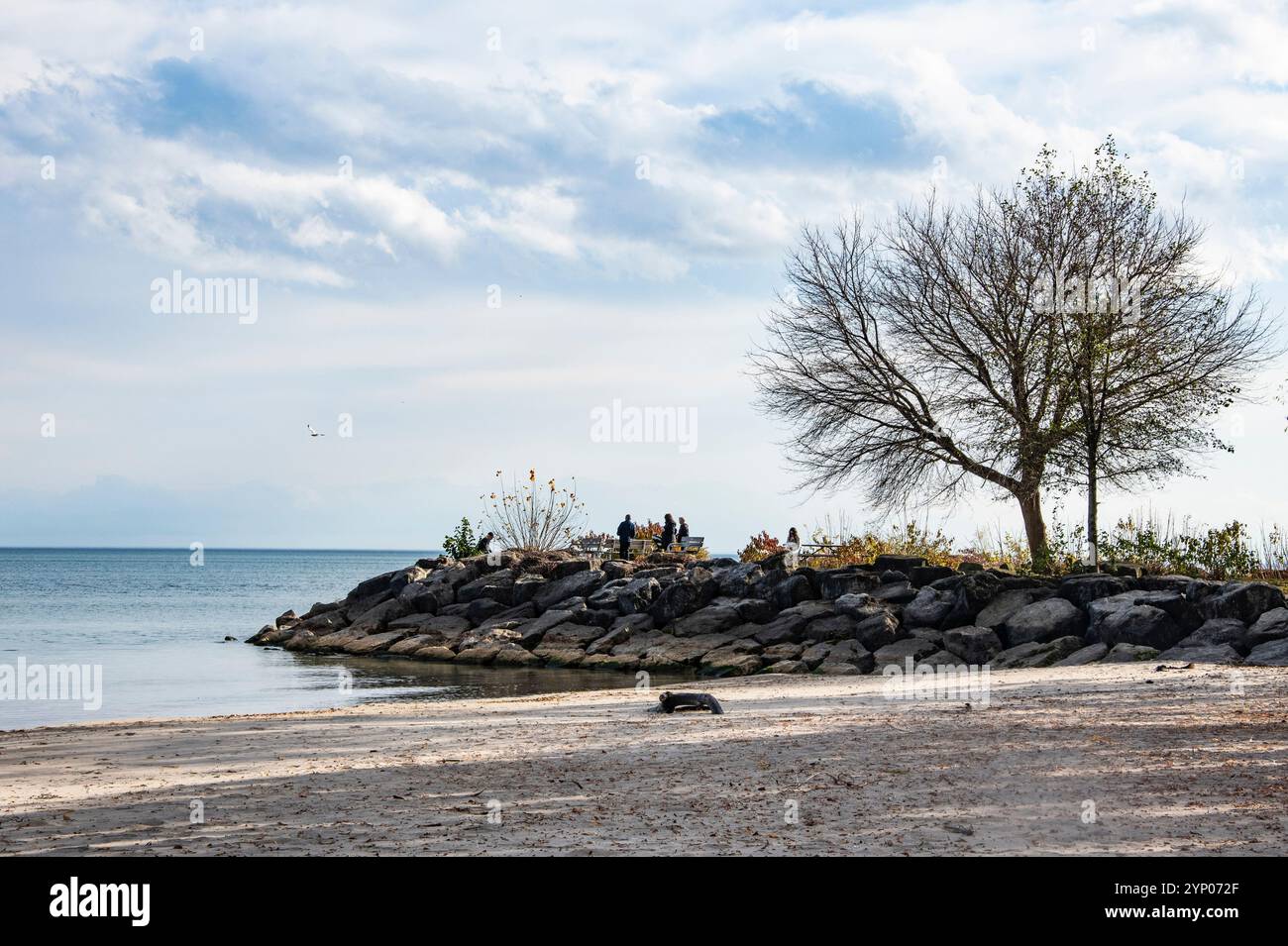Beach at Jack Darling Memorial Park in Port Credit, Mississauga ...
