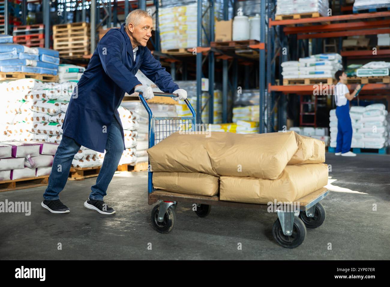 In warehouse rack area of store, loader mature man pushes and carries ...