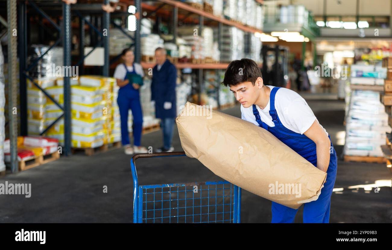 Young man puts bulky paper sack of dry construction mix on trolley ...