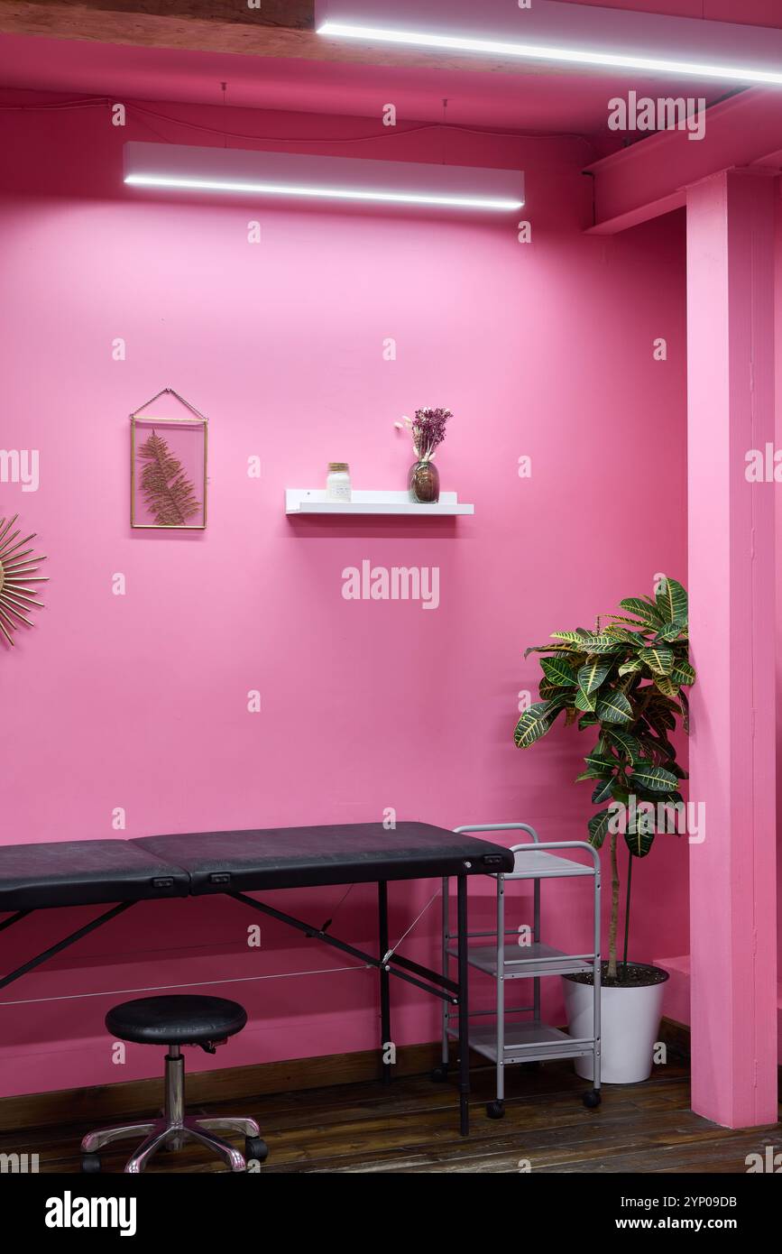 This is a Stylish Pink Room that is designed perfectly for Creative ...