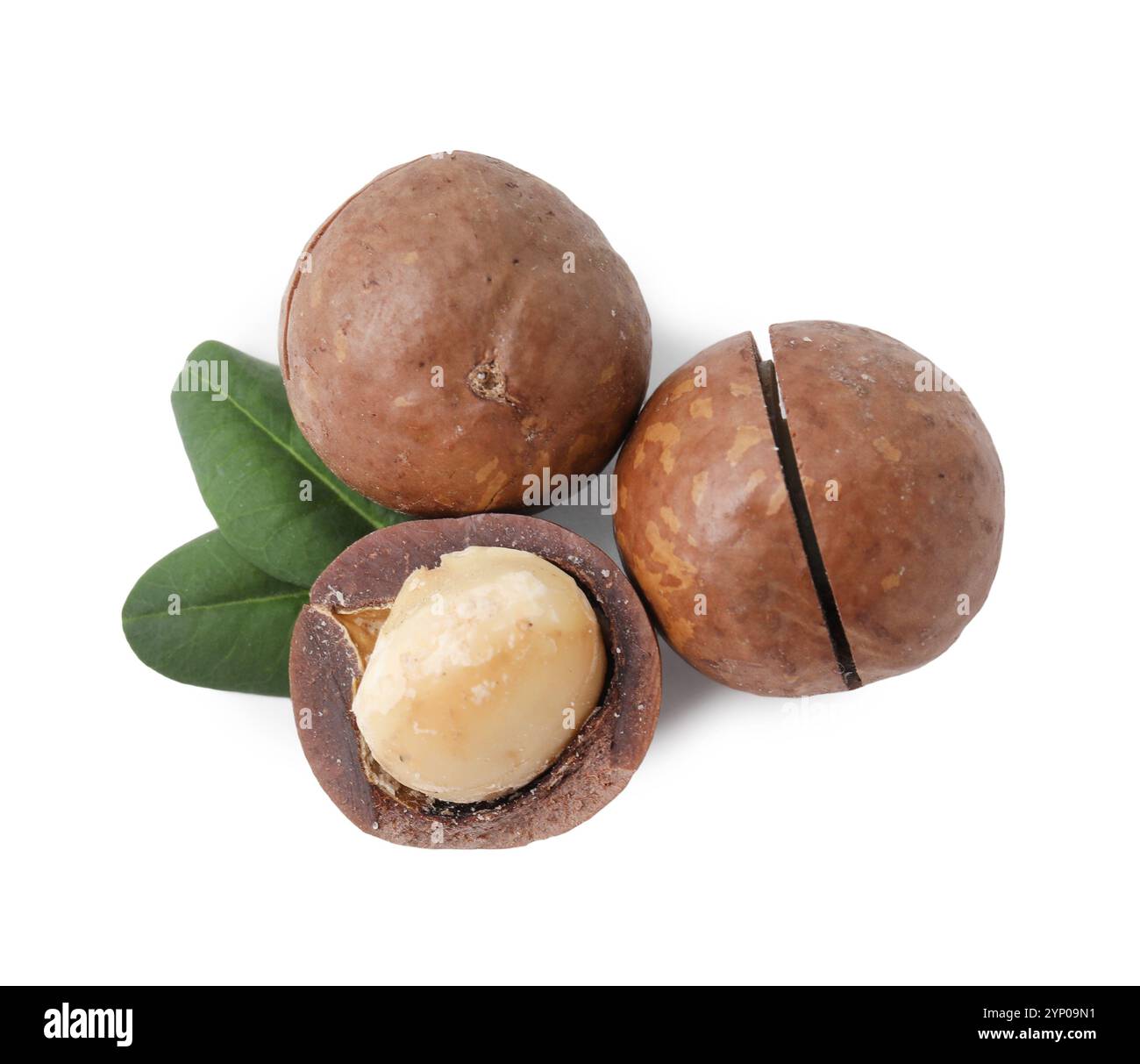 Macadamia nuts with shells isolated on white, top view Stock Photo - Alamy