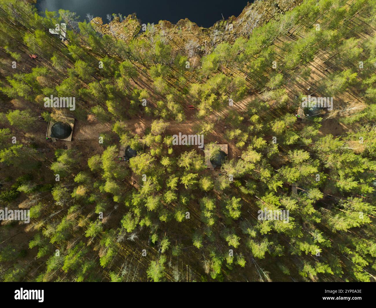 Aerial View Offering a Stunning Perspective of a Dense Forest Canopy ...