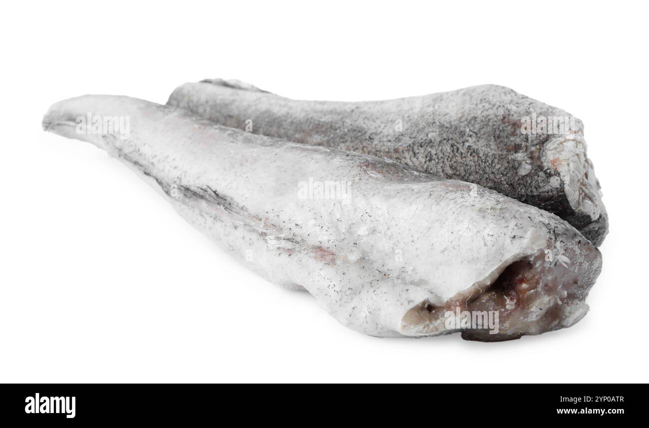 Two frozen hake fishes isolated on white Stock Photo - Alamy